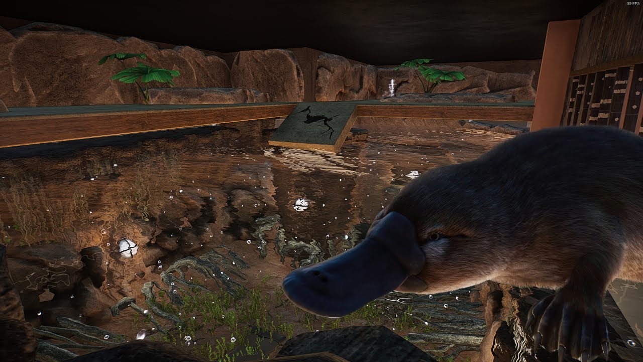 Platypus Habitat | Planet zoo Speedbuild - YouTube