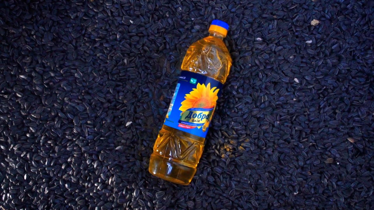 «KAISSA Oil» - так народжується олія. Найбільший виробник на півдні ...