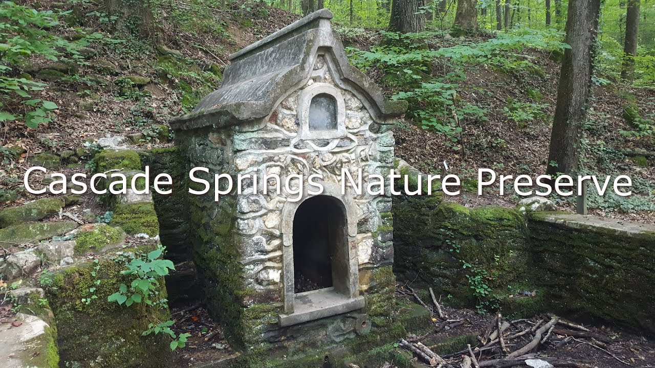 Swamp Girl Adventures - Cascade springs Nature Preserve - YouTube