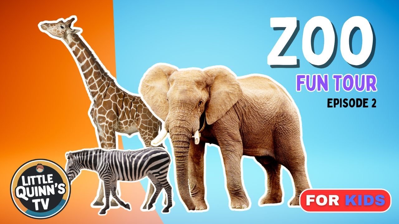 Exciting Zoo Tour for Kids | Zoo Tour episode 2 (Safari Animals) - YouTube