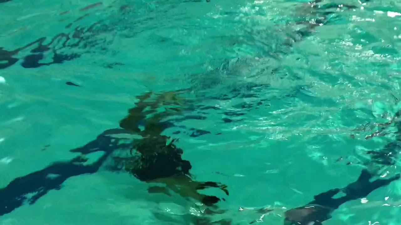 Pre Lifeguard Brick Test by Brandon - YouTube