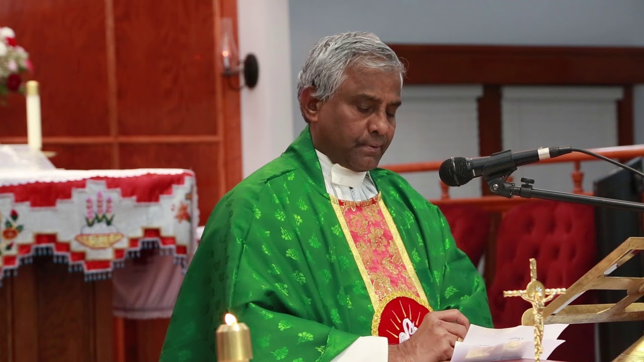 Excerpts from Mass & Homily - YouTube