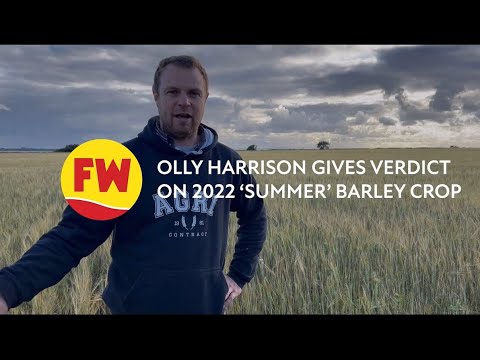 Olly Harrison gives verdict on 2022 ‘summer’ barley crop - YouTube