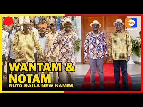 Notam & Wantam: The New Nicknames Shaking Kenyan Politics - YouTube