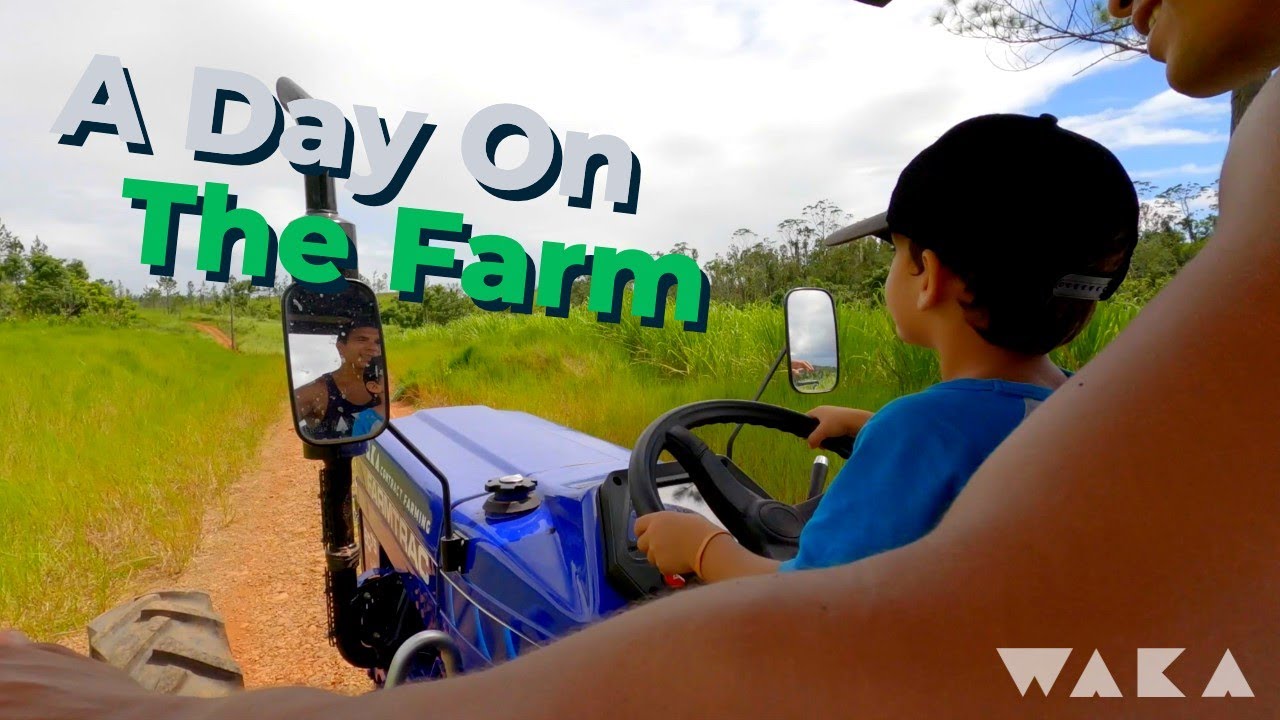 A Day On The Farm_Vlog 64 - YouTube