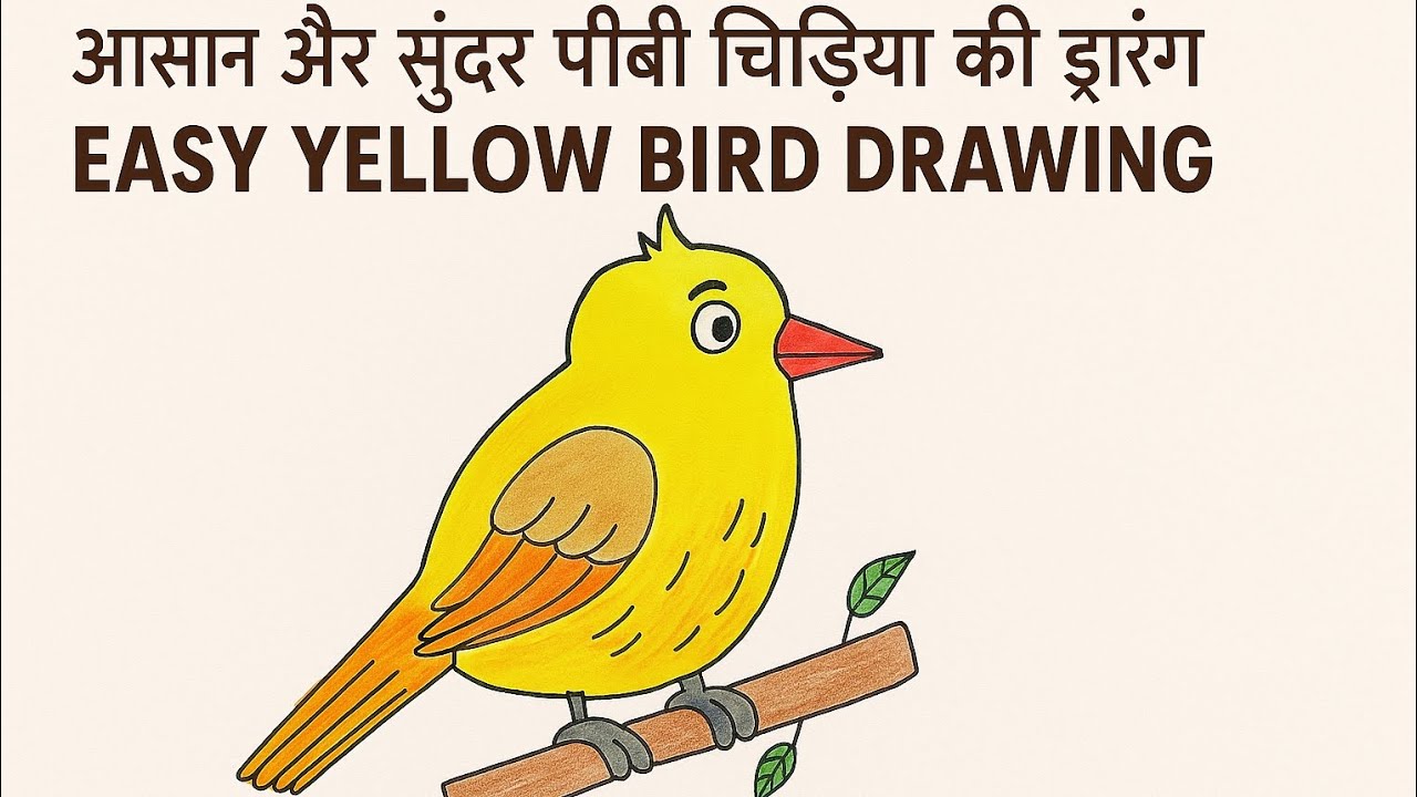 Yellow Bird Drawing | Easy & Cute Bird Art | Bird Drawing for Beginners ...