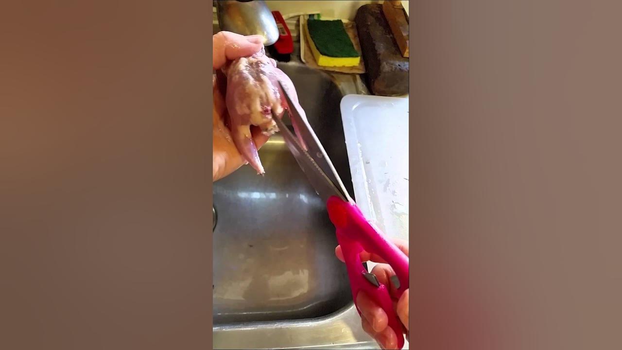 Processing Quail-Quick&Easy - YouTube