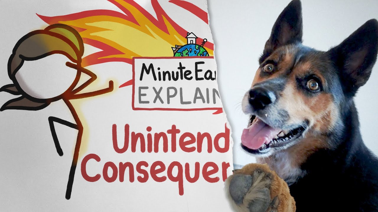 Unintended Consequences | MinuteEarth Explains - YouTube