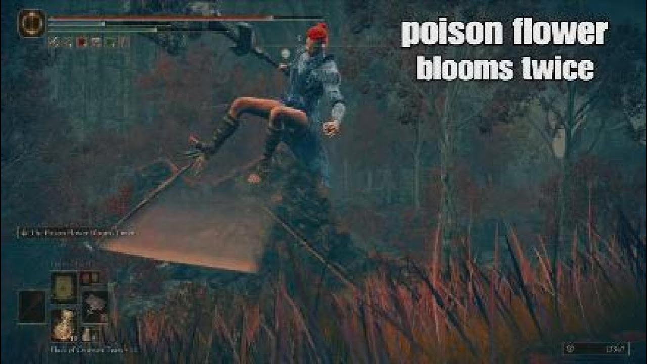 Poison Flower Blooms Twice Location - YouTube