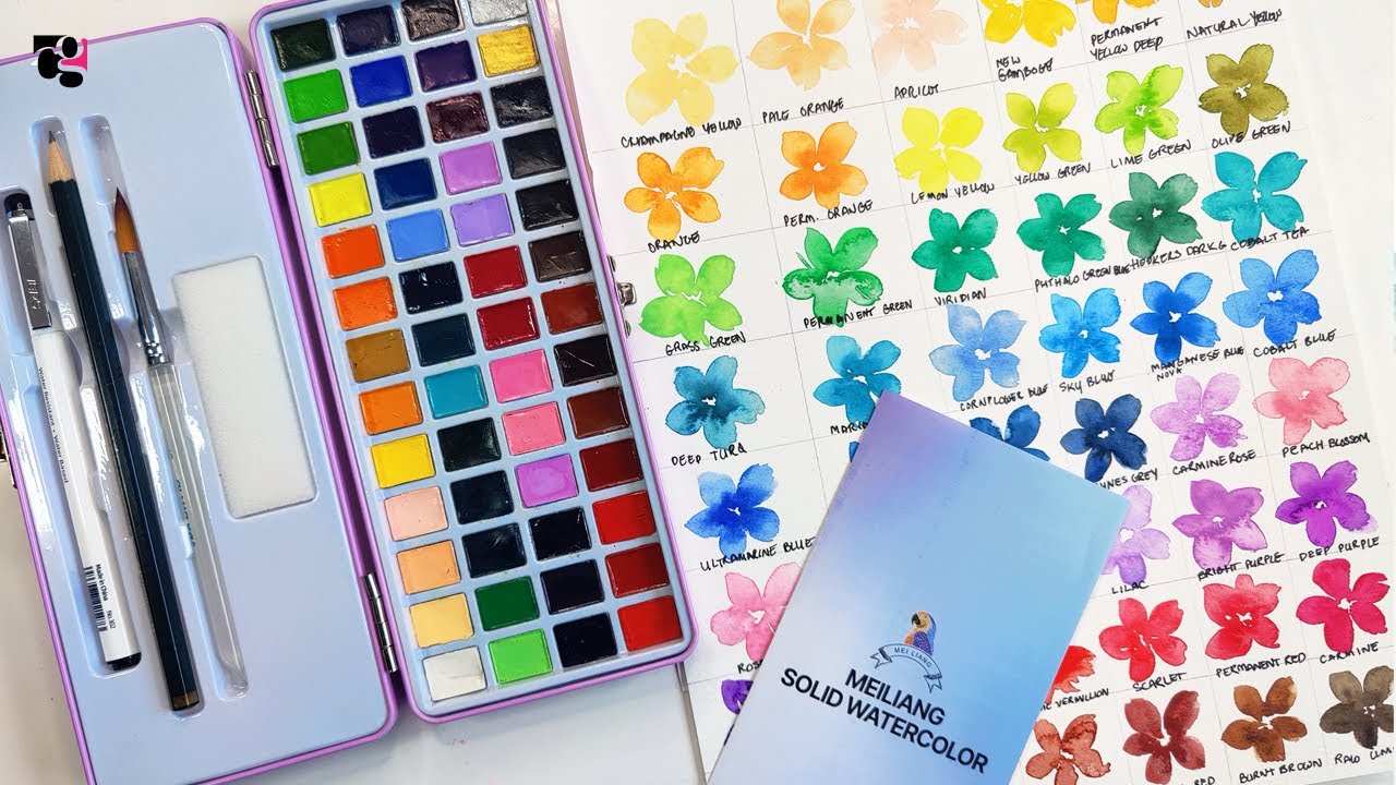 Painting Flowers & Swatching MeiLiang Solid 52 Watercolours - YouTube