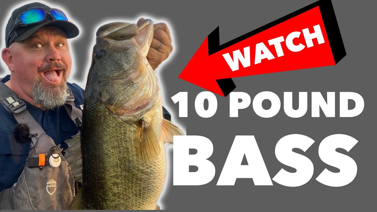 10 Pound Bass | Kayak Fishing Florida - YouTube