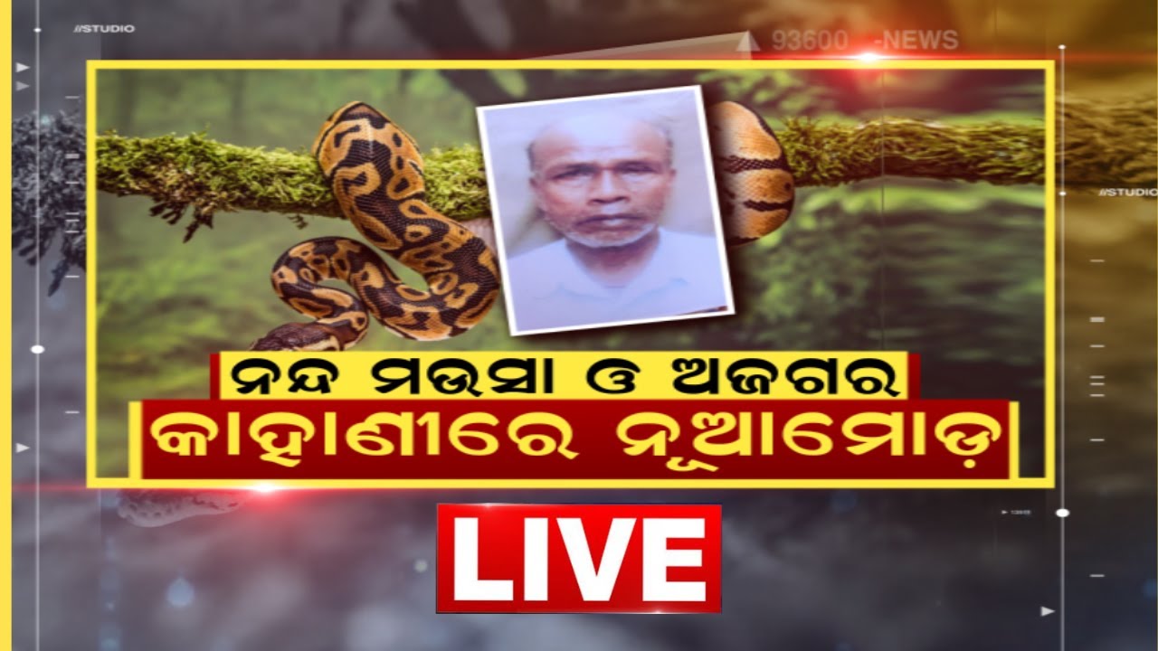 LIVE | Snake Swallowed Man Latest News | ନନ୍ଦ ମଉସା ଓ ଅଜଗର କାହାଣୀରେ ନୂଆ ...