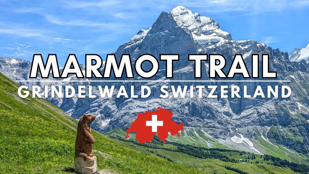Grindelwald First Marmot Trail - Best Hikes Switzerland - YouTube