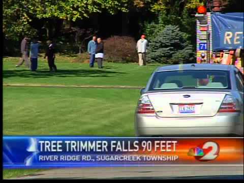 Tree trimmer dies after falling from tree - YouTube