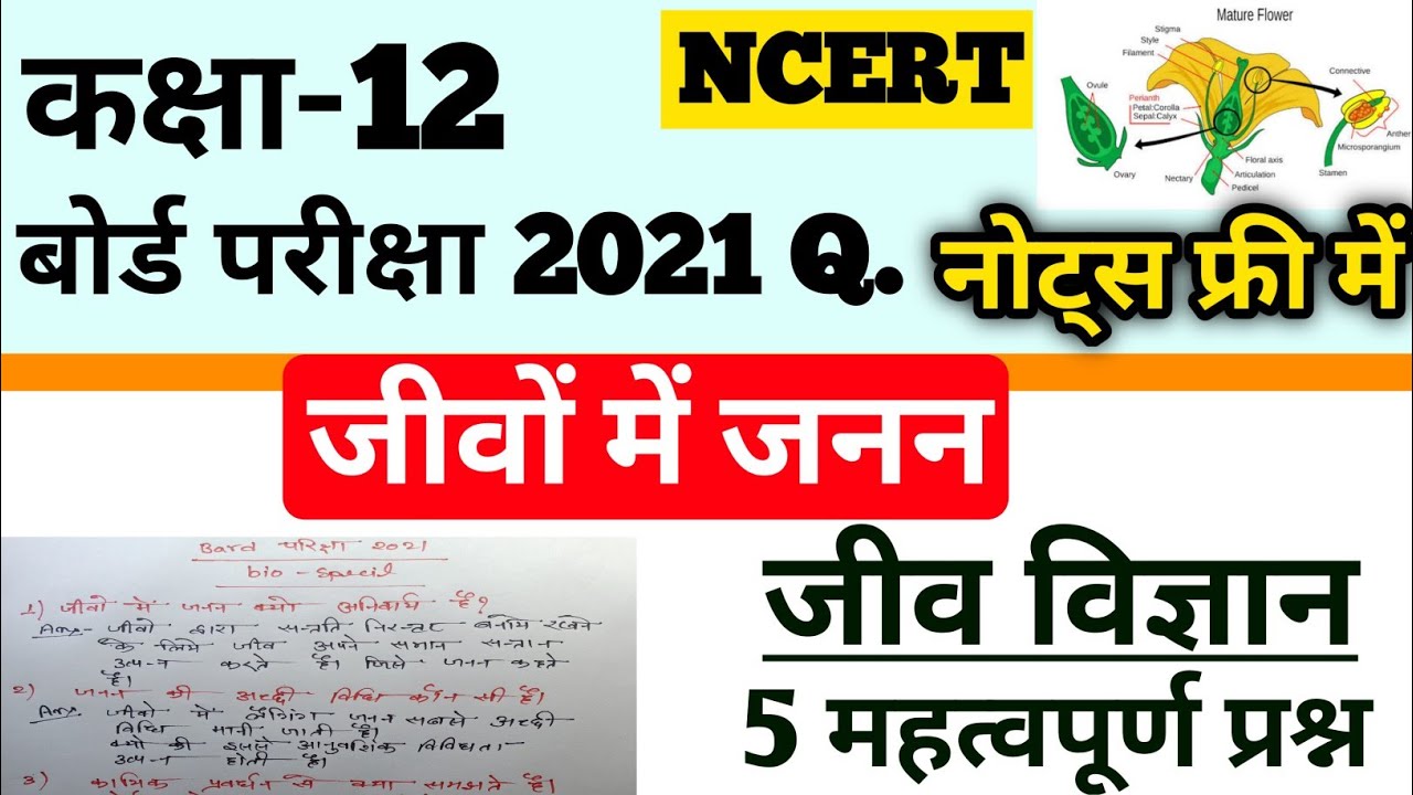Class 12th Biology chapter 1 very important 5 Question | class 12th ...