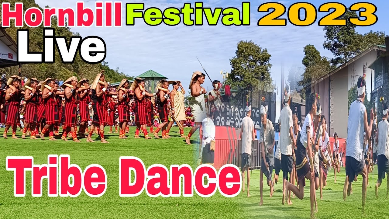 Hornbill festival 2023 all Tribe Performance Live Show on Naga tribe 😲😲 - YouTube