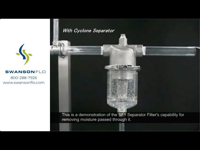 Steam Cyclone Separator