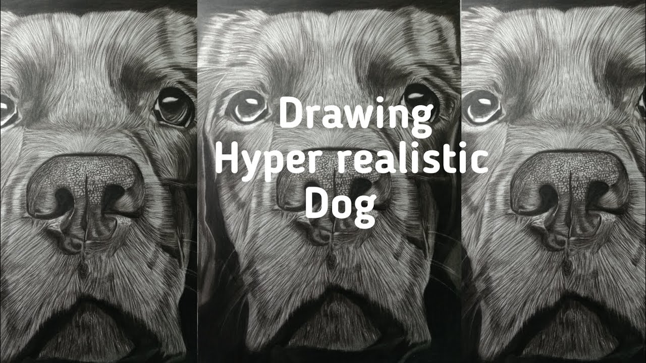 Drawing Hyper realistic Dog in A2 big size paper 🐶 ️ - YouTube