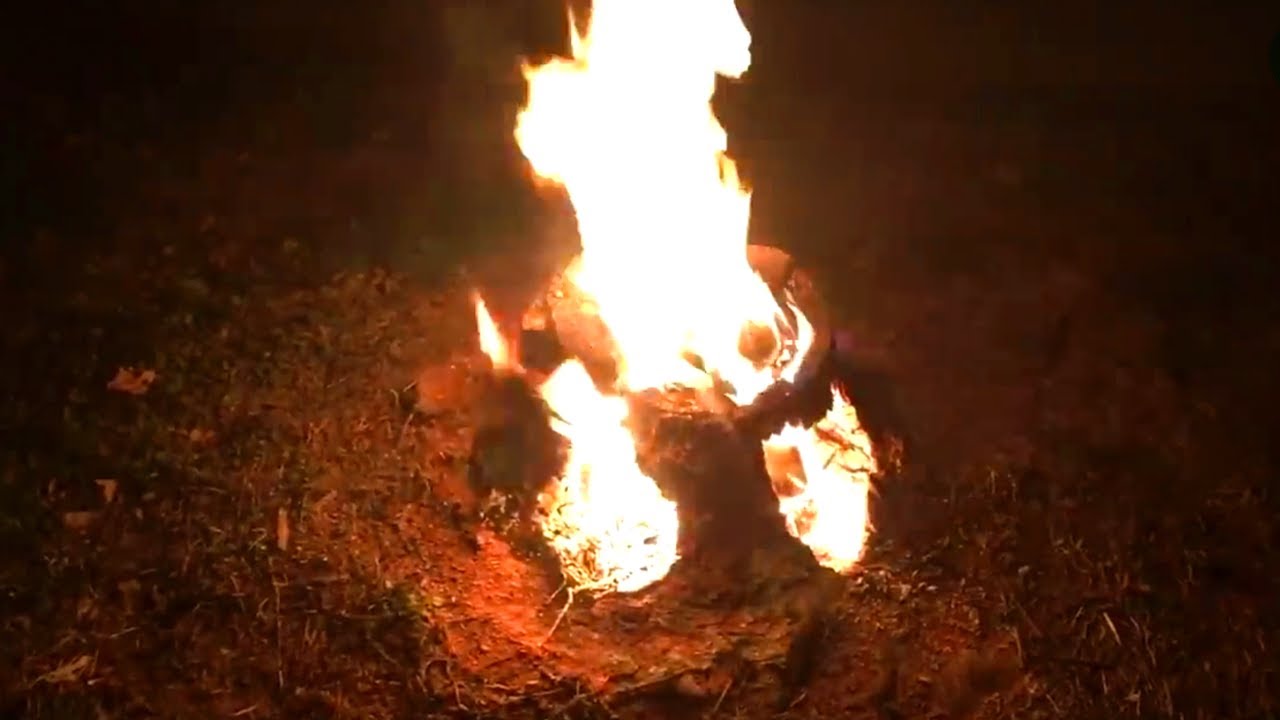 Tree Stump Removal - Amazing Way to Remove a Stump, Complete Burn - YouTube