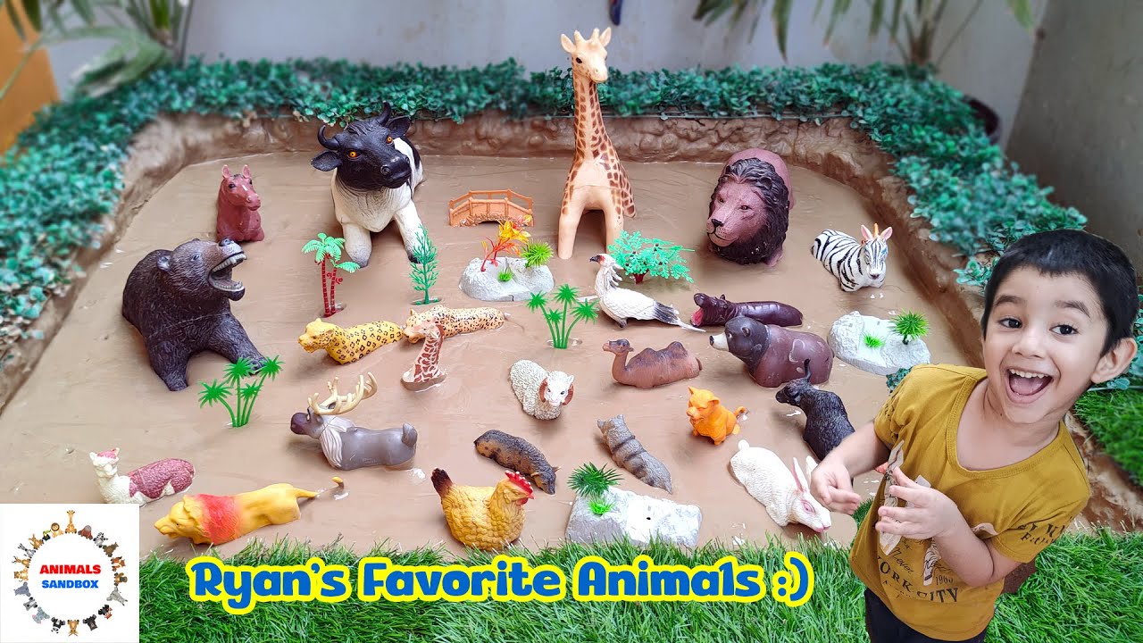 Ryan's Favorite Animals Playful Learning 🦁 Kids Videos for Kids Episode ...