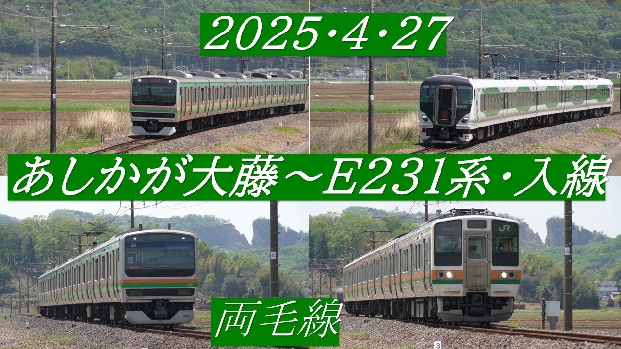 2025～あしかが大藤・今年は両毛線にE231・E233系初入線 - YouTube