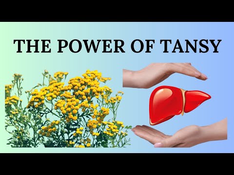 THE POWER OF TANSY.