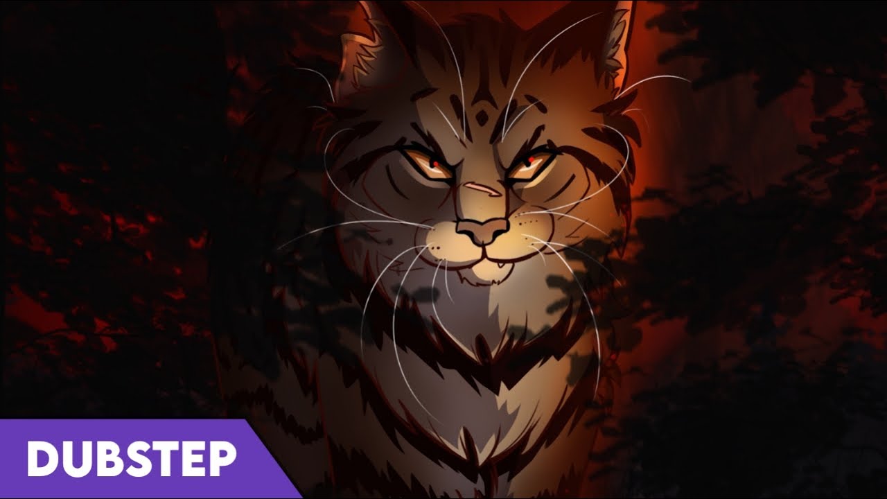 DEEPAW - TIGERSTAR - YouTube