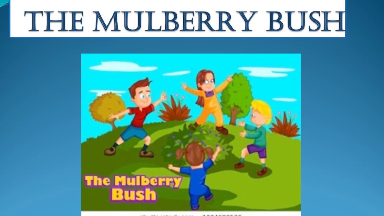 THE MULBERRY BUSH BY ENGLISHGURUKUL ENGLISH GURUKUL - YouTube