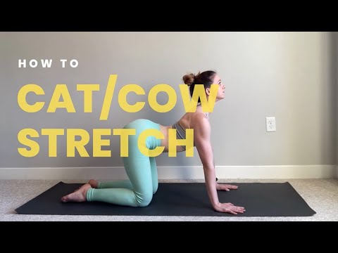 How To: Cat/Cow (with Shoulder Engagement) - YouTube