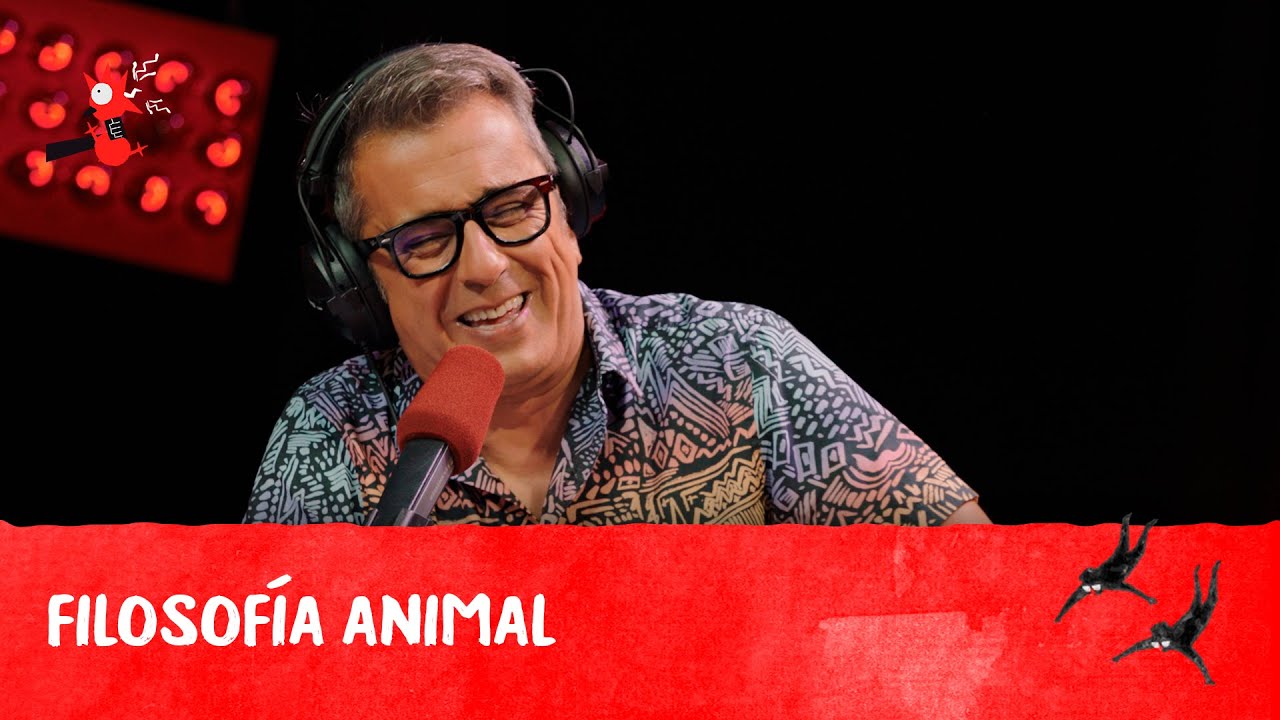 Filosofía animal | @NadieSabeNada - YouTube
