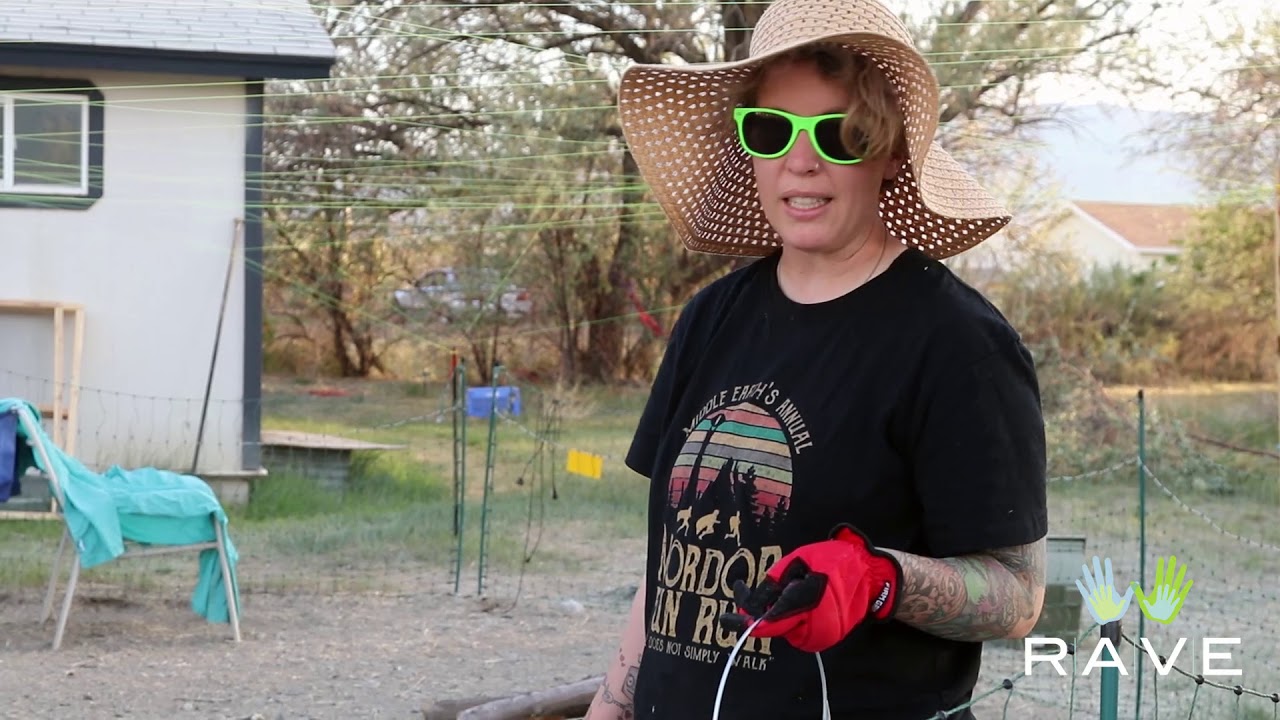 RAVE Family Chicken Fun - YouTube