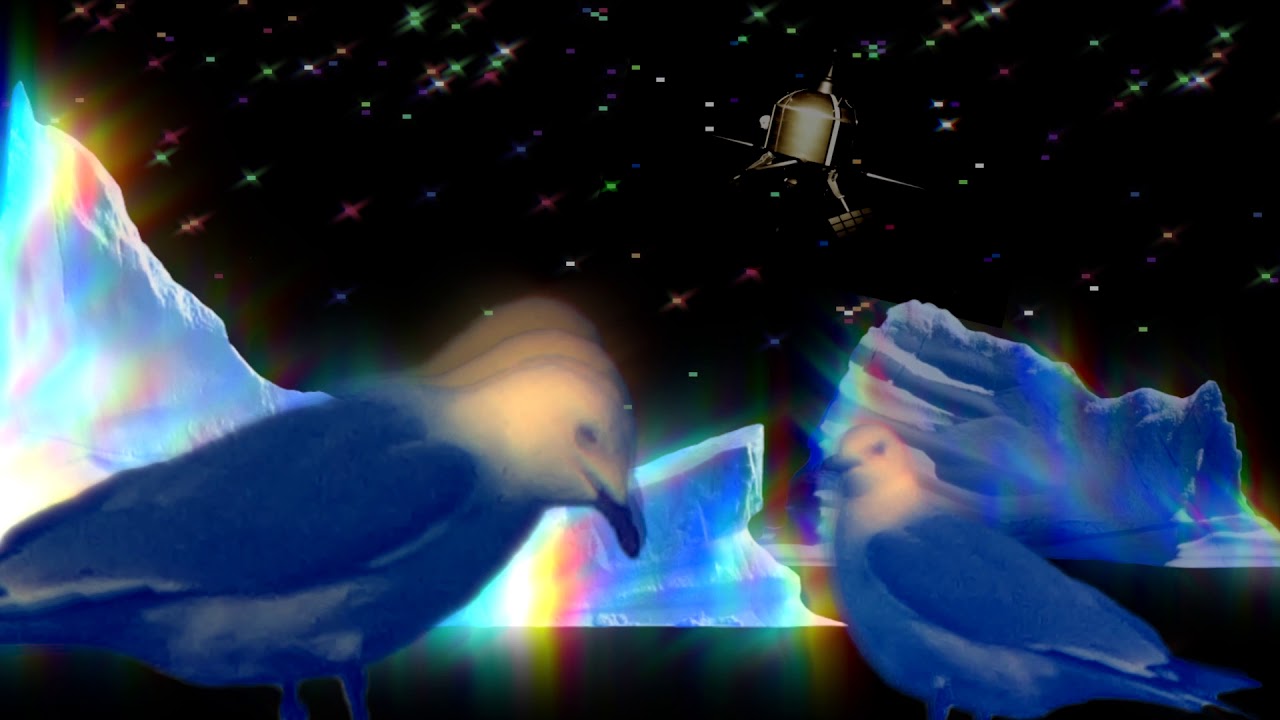 Stef Animal - Top Gear (Album Preview) - YouTube