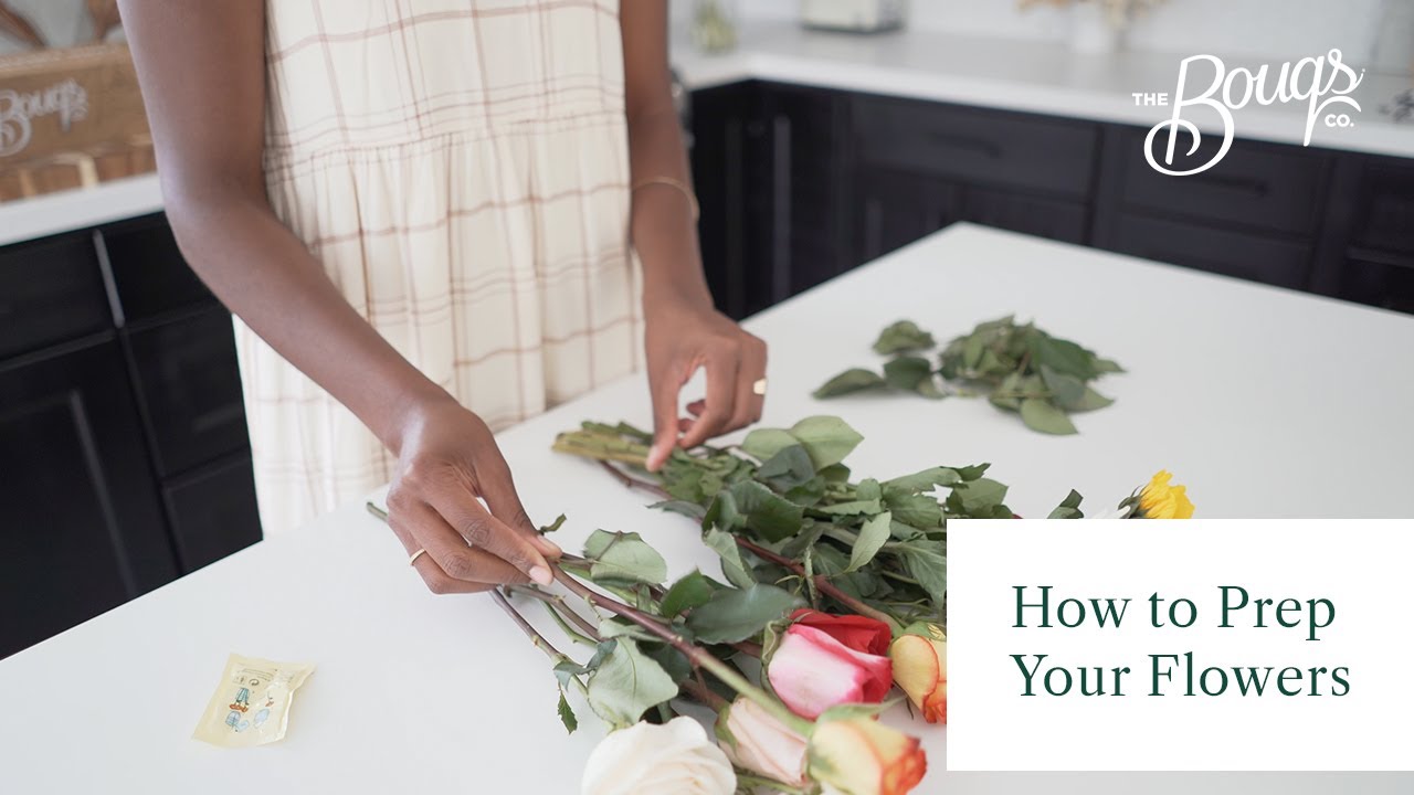 How to Process Fresh Flowers - Bouq Care 101 | The Bouqs Co. - YouTube