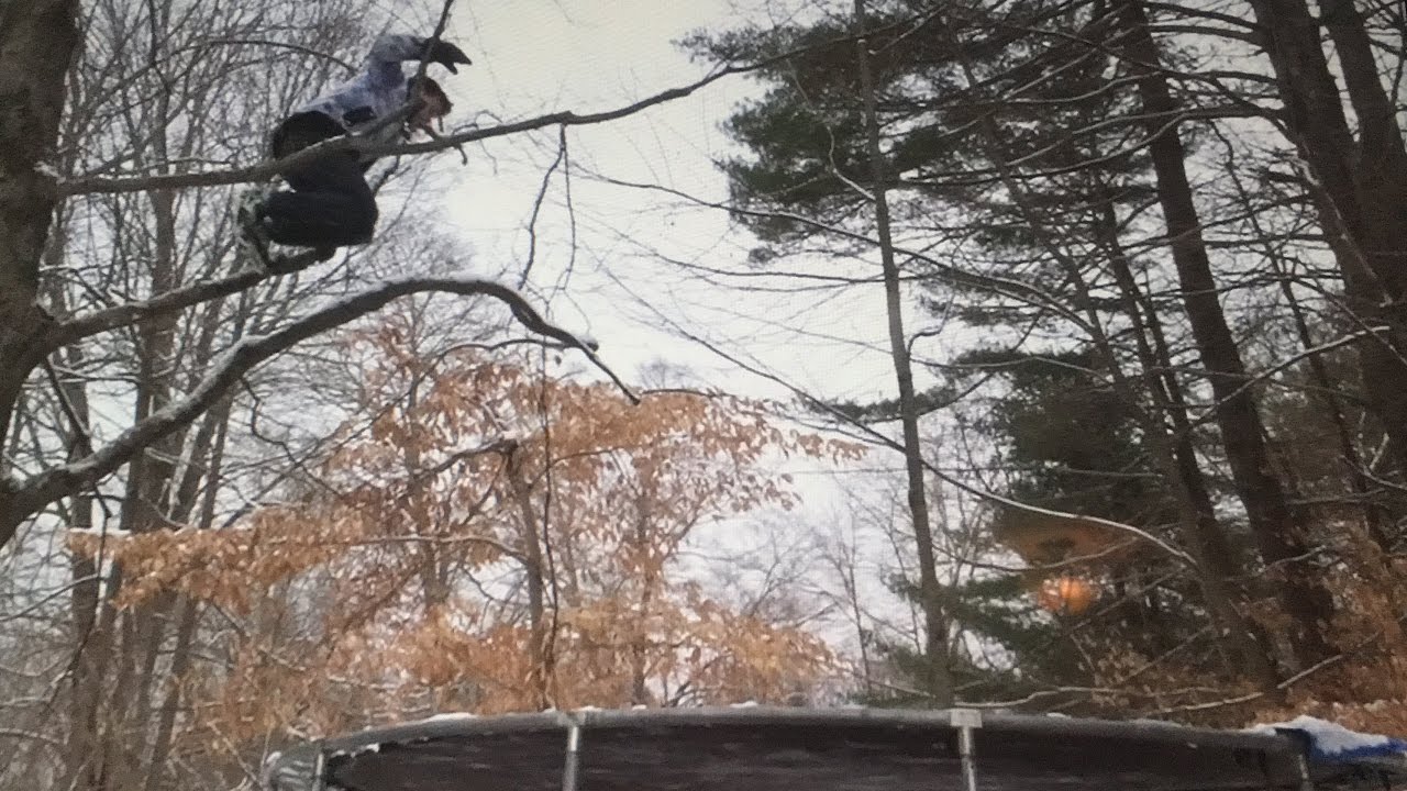 JUMPING OFF TREE ONTO TRAMP - YouTube