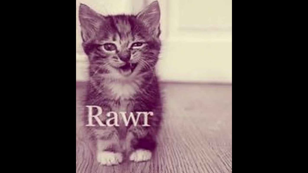 *free* m1v x hyperpop(???) type beat - "uhuhuhuh" (prod. tipurk) - YouTube