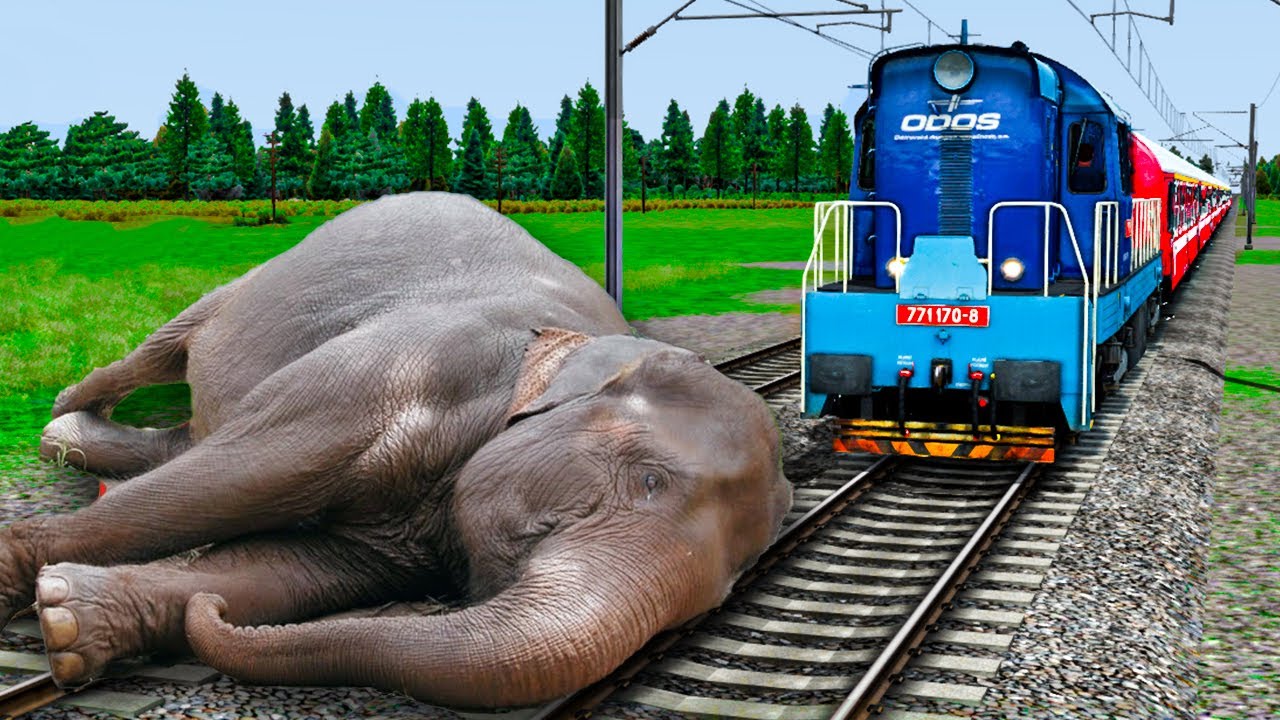 Sleeping Elephant vs Train | Stops the train | BeamNG.Drive | Train ...