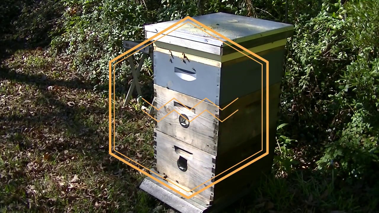 Different ways to feed dry pollen sub. with a special clip at the end ...