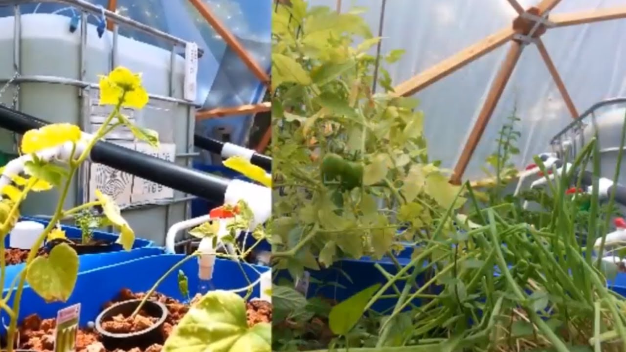 Aquaponic Bio-Dome Kit - YouTube