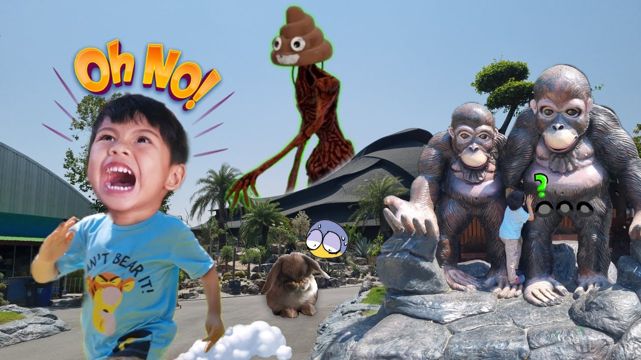 เจ้าเปา ตะลุย‼️ศรีอยุธยาไลอ้อนปาร์ค ep.3 ลิงอุรังอุตัง กระต่าย ปลาคราฟ หนีไซเรนเฮดหัวลูกตา zoo ...