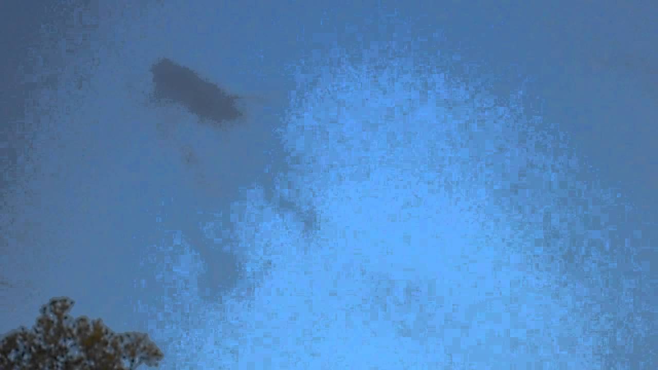 Insect clouds in May - YouTube