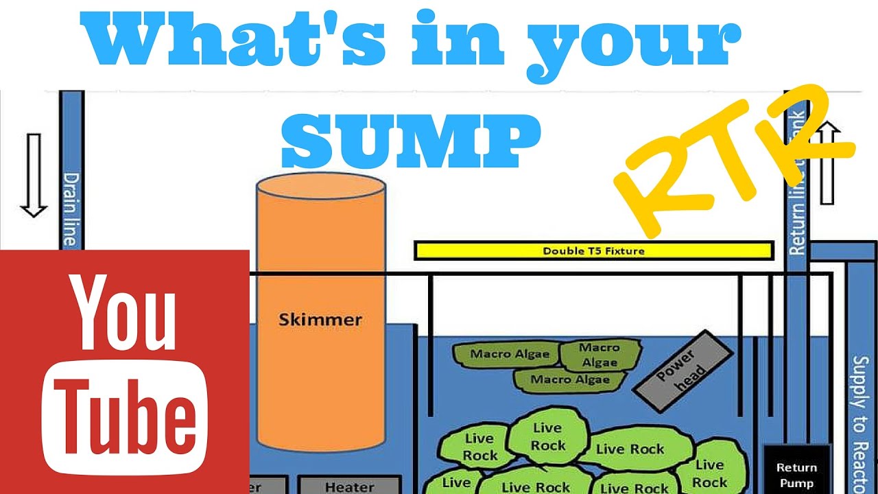 saltwater tank sump designs - YouTube
