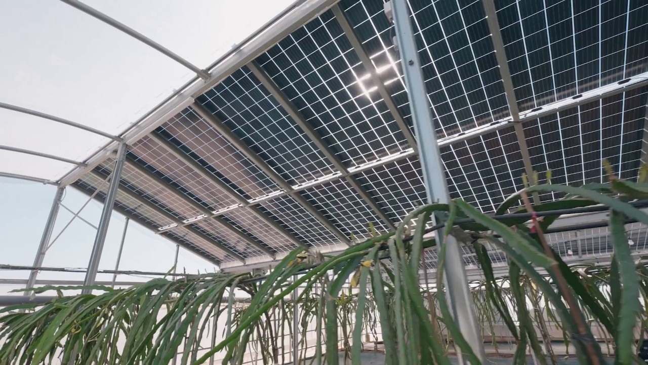 Optimising Renewable Energy in Rural Areas: The ECOLOOP project - YouTube