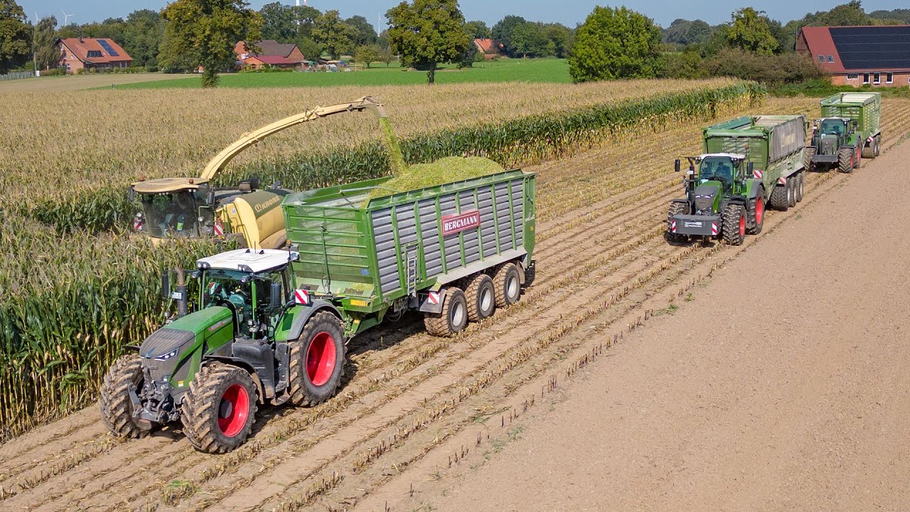Mais 2024 / Krone Big X 1180 / Busche Estorf / Maize silage - YouTube