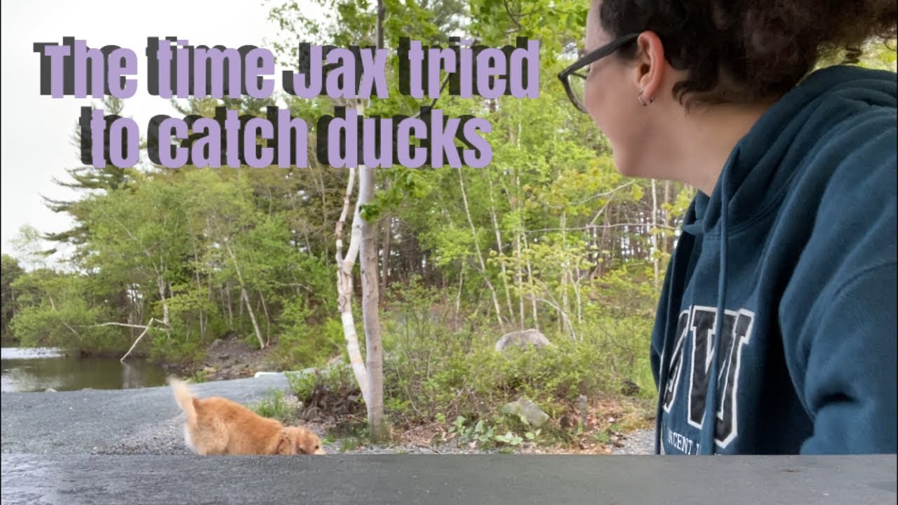 Jax tried to catch ducks | Getting High - YouTube