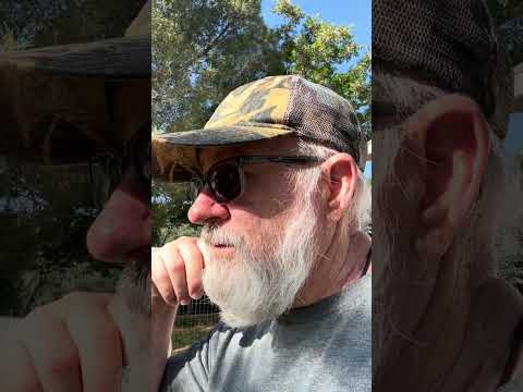 Rapture is near prophecy from 2016 comes to pass 