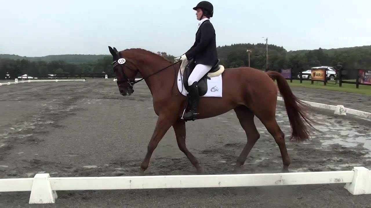 Morgan McCue & Havanna's Orphan Annie Millbrook Horse Trials August ...