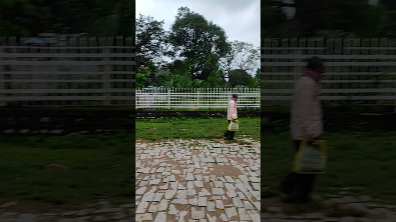 CIP walk around // Ranchi kanke //mental hospital #shorts #trending # ...