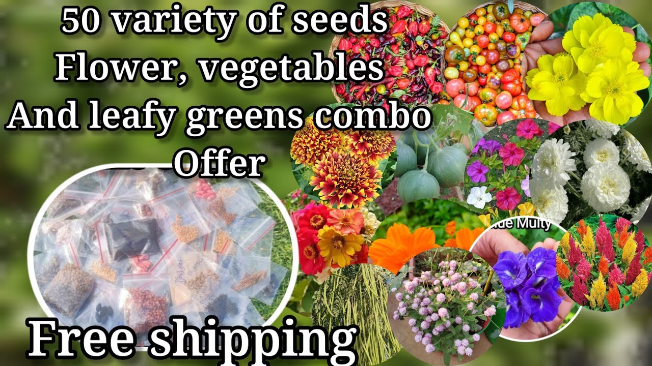 50 variety of seeds combo offer.free shipping |garden | online seeds ...
