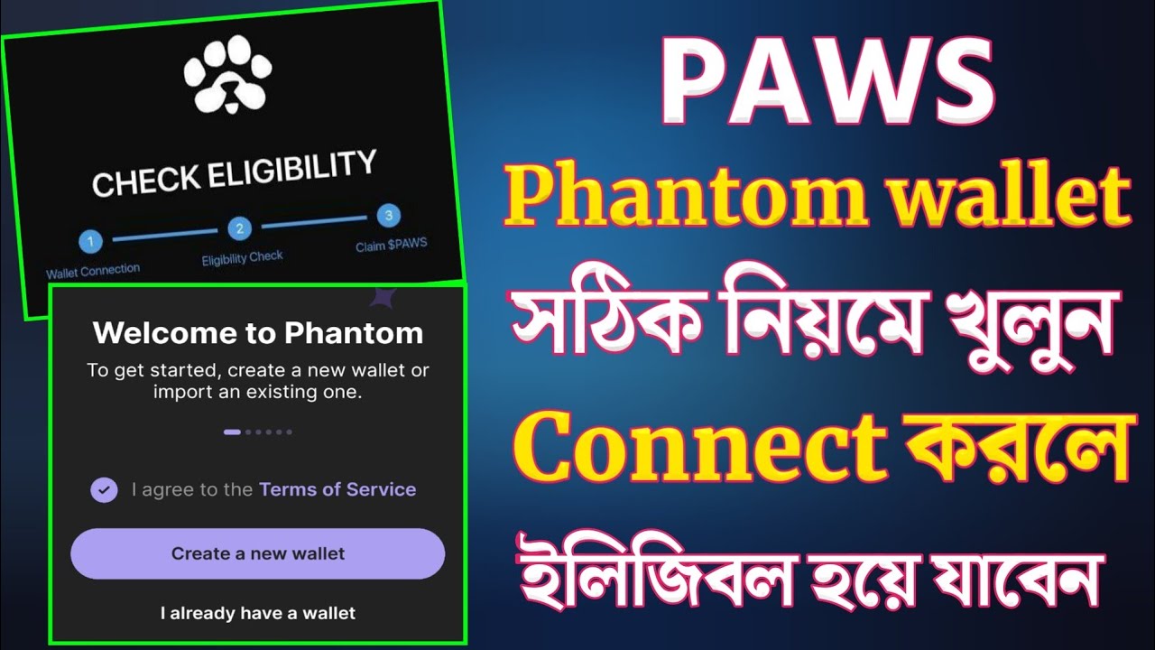 paws phantom wallet create | paws solana wallet connect | paws airdrop ...