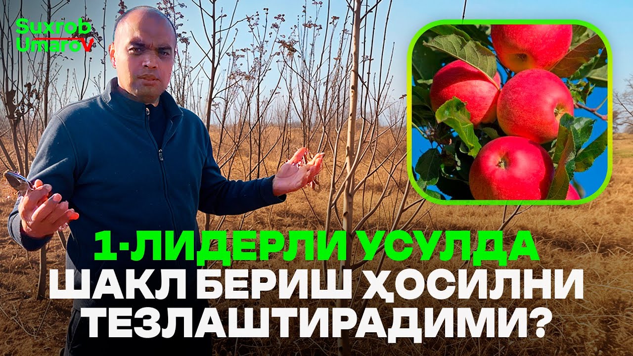 1-Лидерли усулда шакл беришни ўрганамиз!| Сухроб Умаров #kesish # ...